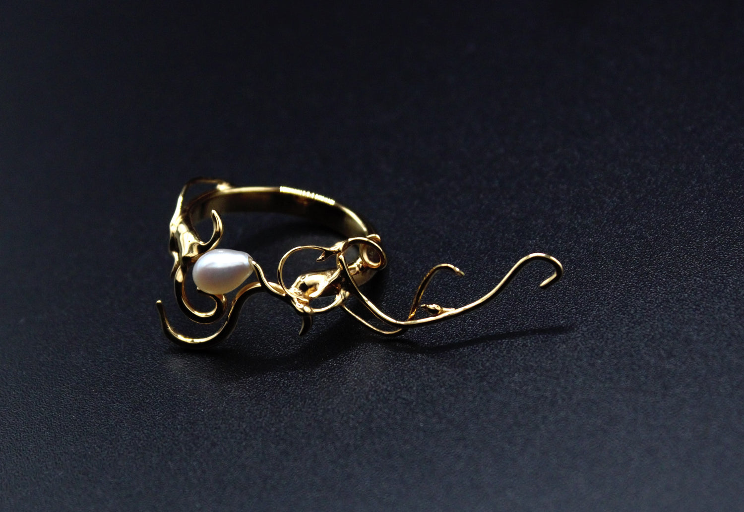 Bianca Maria Bolum Art Jewellery